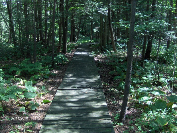 Adams Farm Parcel Loop