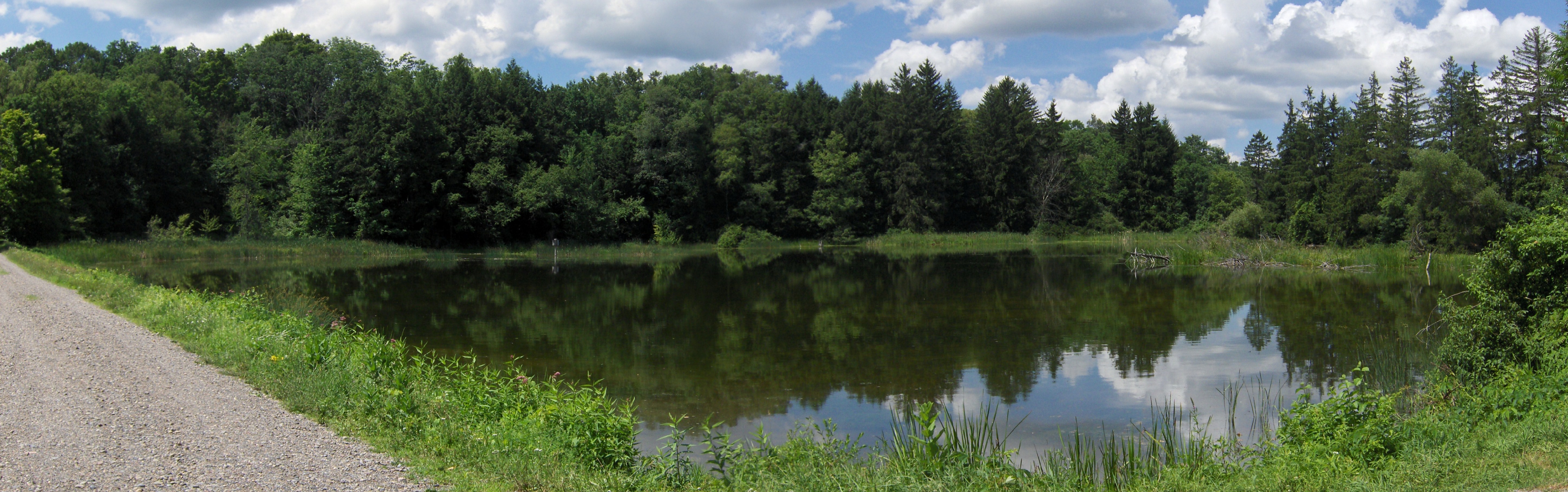 Adams Farm Parcel Loop