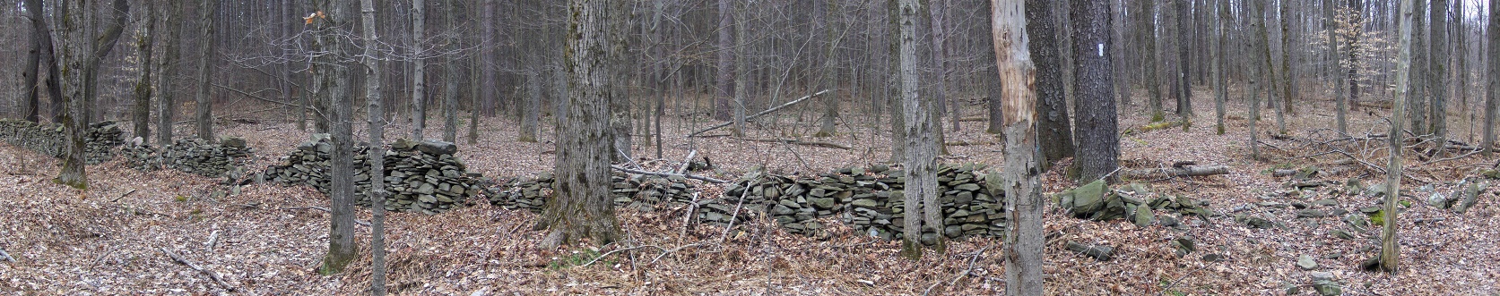 FLT - Bucks Brook State Forest