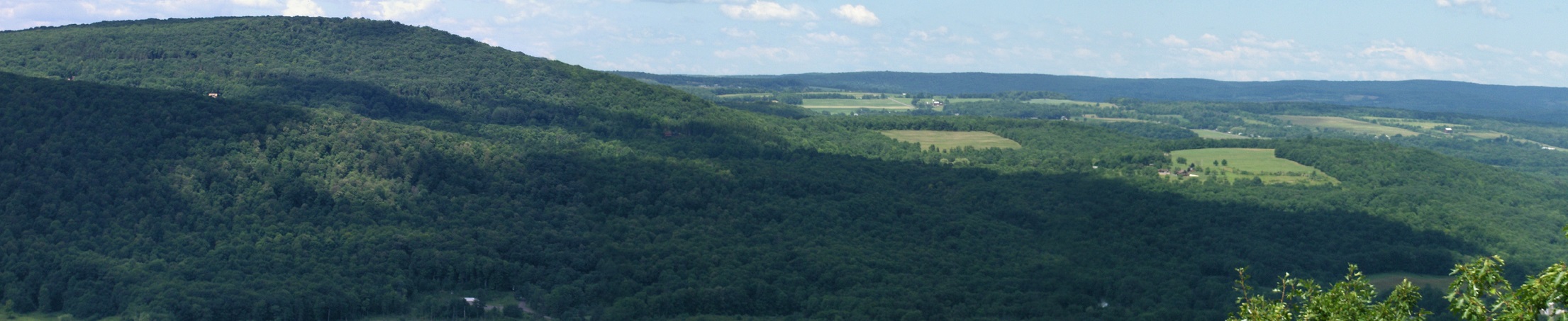 Abbott Loop in Danby State Forest