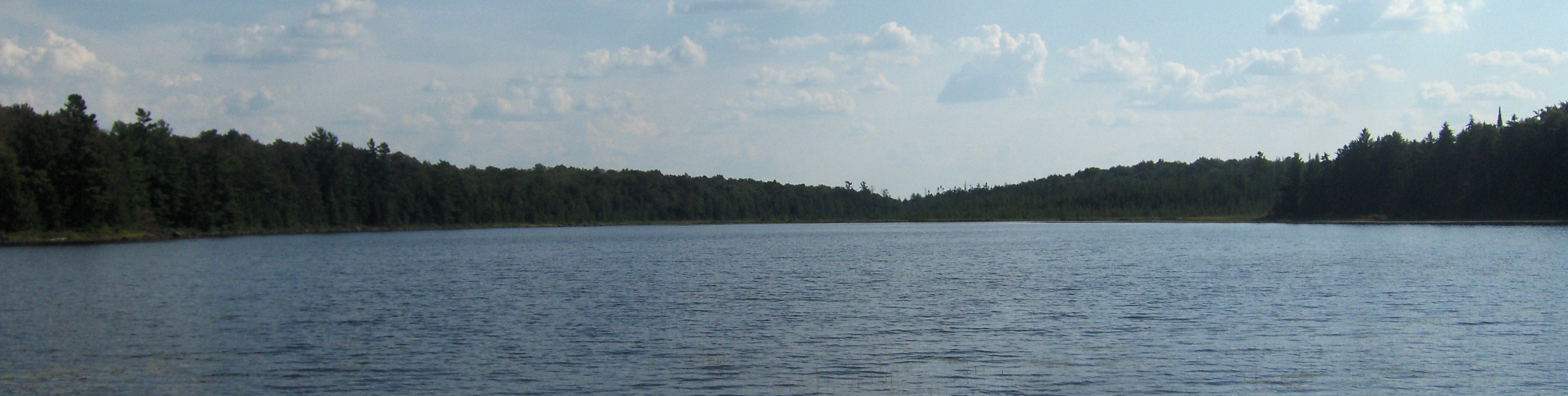 Grass River Wild Forest