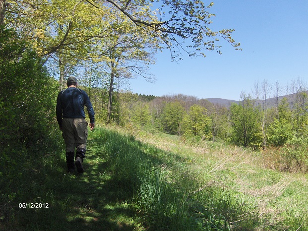 John Burroughs Memorial Field SHS