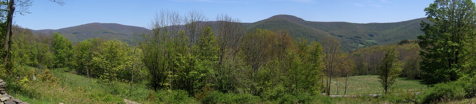 John Burroughs Memorial Field SHS