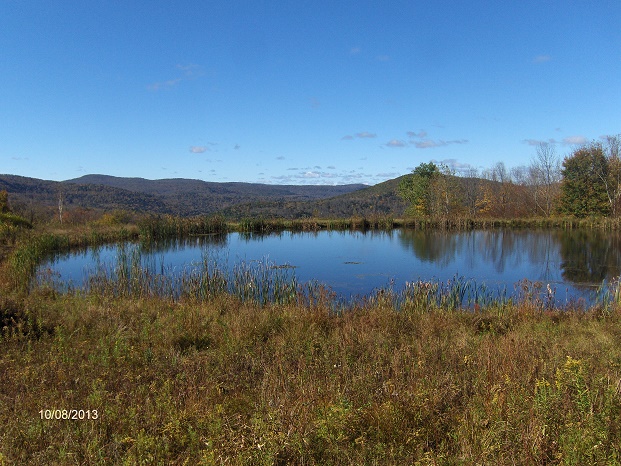 Shavertown Trail