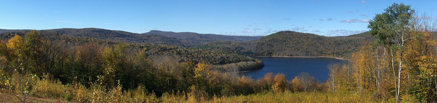Shavertown Trail