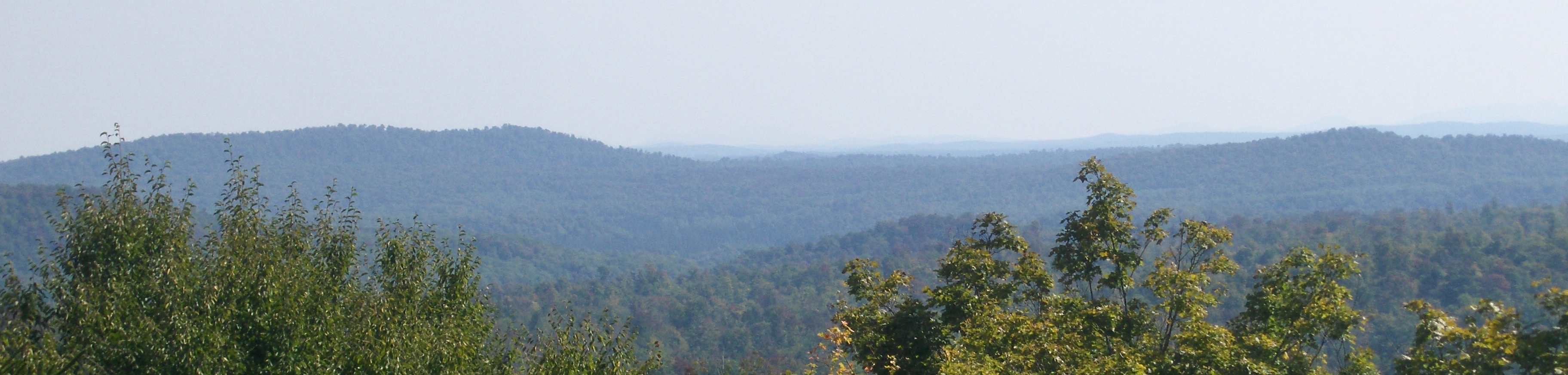 Tooley Pond Mountain